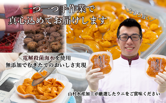 訳あり 北海道 噴火湾産 塩水 バフンウニ 100g 2パック 計200g うに ウニ 雲丹 海鮮 海の幸 魚介類 ウニ丼 お寿司 濃厚 無 ...