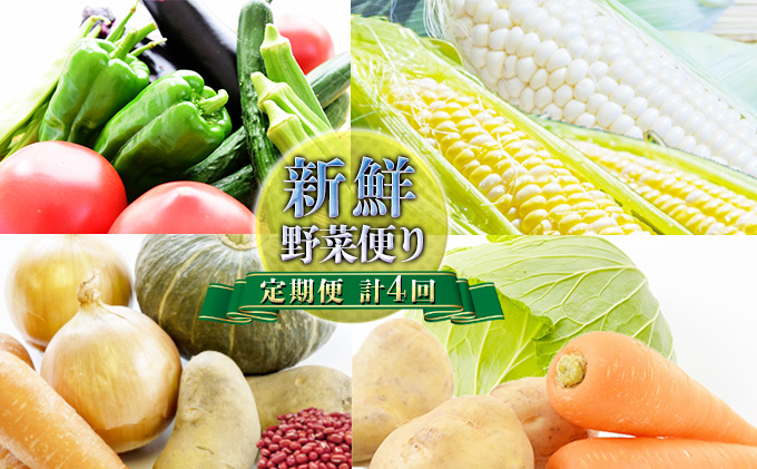 【ニセコファーム】定期便 新鮮 野菜便り 北海道 倶知安町 新鮮 採れたて とうもろこし 夏野菜 じゃがいも 玉ねぎ セット |JALのマイル ...