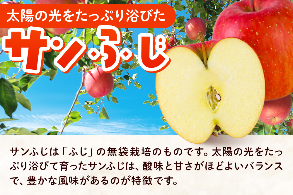 【26年1月〜発送】りんご 家庭用【訳あり】サンふじ 約3kg（9〜12玉程度）｜JALふるさと納税サイト