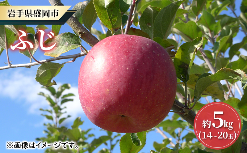 【大櫻農園】ふじ 盛岡 完熟 りんご 約5kg（14～20玉） |JALふるさと納税|JALのマイルがたまるふるさと納税サイト