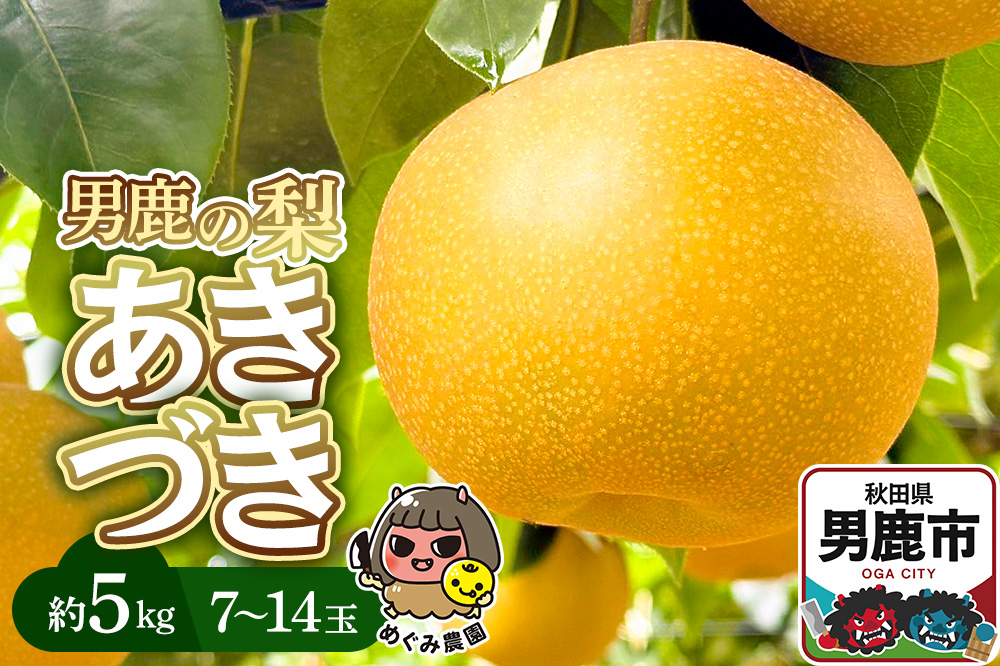 先行受付 男鹿の梨 あきづき 約5kg 7〜14玉 梨 秋田県 男鹿市 ＜めぐみ農園＞｜JALふるさと納税サイト