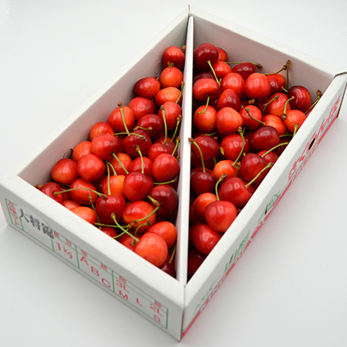 山形のさくらんぼ 大将錦 1kg Lサイズ以上 バラ詰 【令和6年産先行予約】FU21-633|JALふるさと納税|JALのマイルがたまるふるさと納税サイト