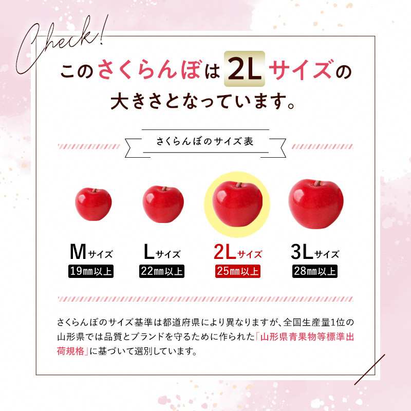 【令和7年産】 さくらんぼ 「紅秀峰」 約1kg (500g×2箱または1kg×1箱 秀 2L以上) ソフト手詰め 《令和7年6月下旬～発送》 『Yamagataうまいな中村屋』 [2395 ...