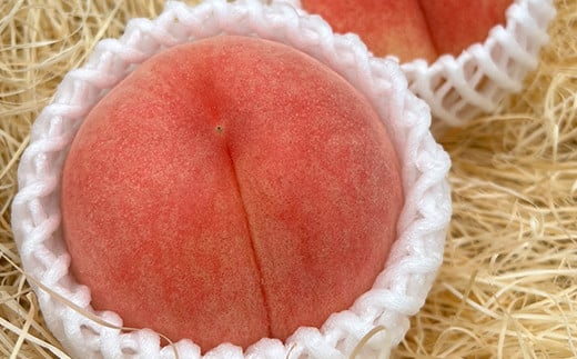 ＜先行受付＞ 嘉斎果樹園の桃「あかつき」約3kg（8～11個） もも モモ 桃 デザート フルーツ 果物 くだもの 果実 食品 F7X-0139|JALふるさと納税|JALのマイルがたまる ...