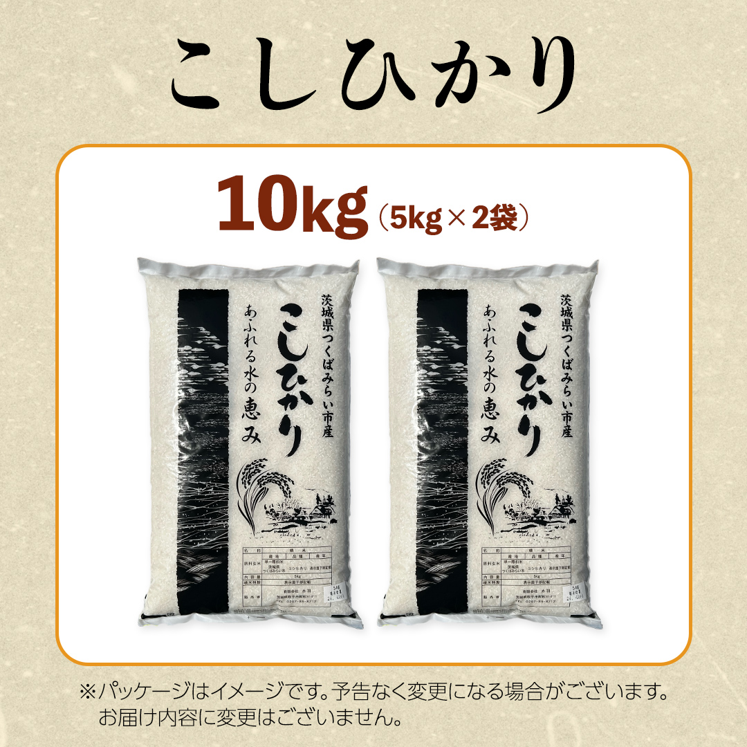 1月下旬発送 / 数量限定 】茨城県産 コシヒカリ 精米 10kg (5kg×2袋） 令和6年産 こしひかり 米 コメ こめ 単一米 限定 ...