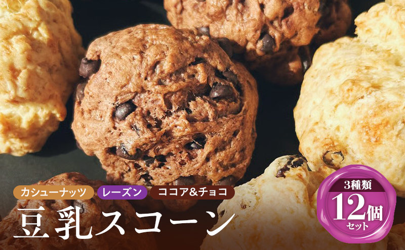 スコーン 詰め合わせ 12個セット 3種類 カシューナッツ レーズン ココア＆チョコ 手作り 焼き菓子｜JALふるさと納税サイト