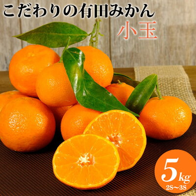 ZT6232n_こだわりの 有田みかん 小玉 5kg (2S～3Sサイズ)【訳あり 家庭用】|JALふるさと納税|JALのマイルがたまるふるさと納税サイト