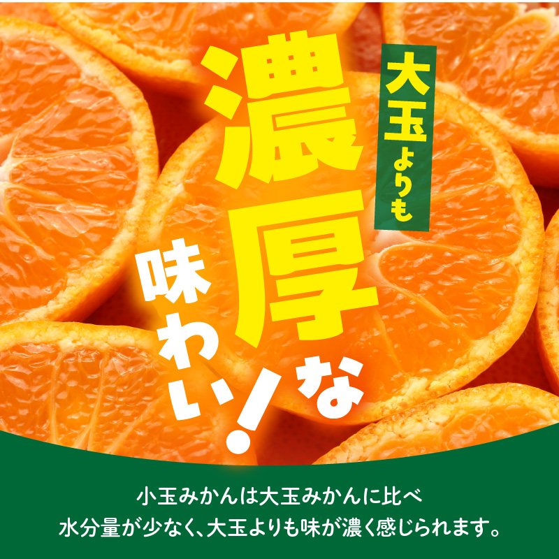 MK1076_【2025年先行予約】とにかく小玉 みかん 極早生 箱込 5kg ( 内容量 4.4kg ) 2Sサイズ以下 秀品 優品 混合 ...