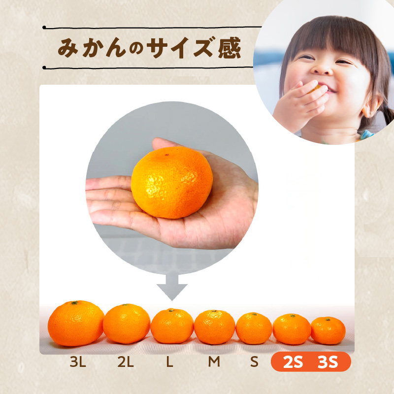 MK1076_【2025年先行予約】とにかく小玉 みかん 極早生 箱込 5kg ( 内容量 4.4kg ) 2Sサイズ以下 秀品 優品 混合 ...