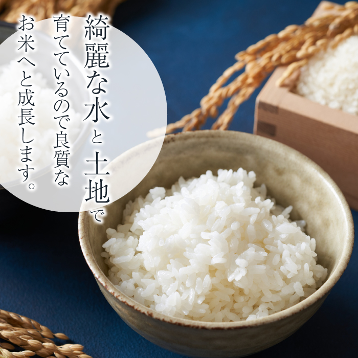 令和7年新米＜先行受付＞【6か月定期便】きぬひかり 玄米5kg [2025年9月下旬頃～発送] お米 米 精米 ごはん ご飯 広島県 三原市 220022|JALふるさと納税|JALのマイルが ...