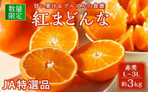 【先行受付】JA特選品 紅まどんな（赤秀L〜3L 約3kg）｜JALふるさと納税サイト