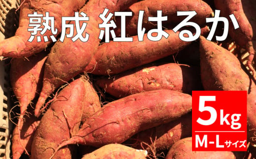 熟成 紅はるか 5kg M-Lサイズ さつまいも いも 低温熟成 完全熟成収穫 甘い 糖度 焼き芋 やきいも スイートポテト おやつ 高糖度 料理 国産 愛媛県 愛南町青果市場|JALふるさと ...