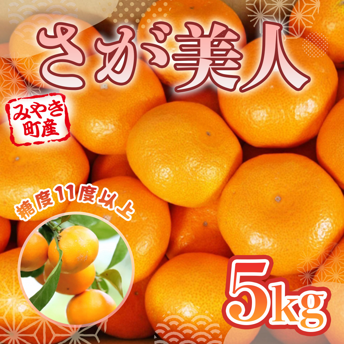 DY123_さが美人 5kg 2S～2L|JALふるさと納税|JALのマイルがたまるふるさと納税サイト