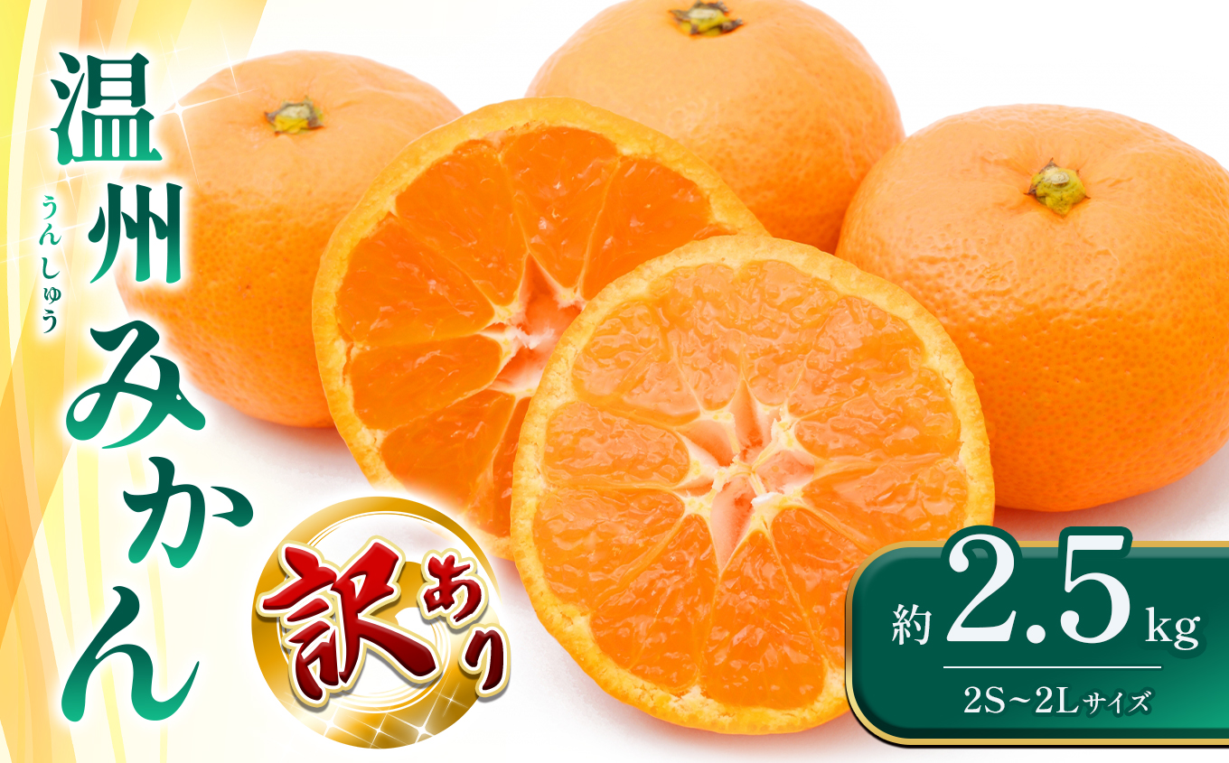 【先行予約】【訳あり】 熊本県八代市産 温州みかん 約2.5kg 2S-2Lサイズ ミカン 【2023年11月上旬より順次発送】|JALふるさと納税|JALのマイルがたまるふるさと納税サイト