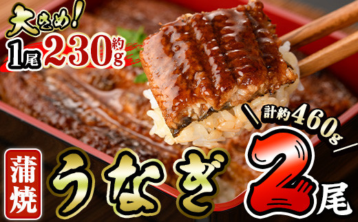 うなぎ 蒲焼 (計約460g・約230g×2尾・山椒、タレ付き) 鰻 さんしょう 冷凍 かば焼き うな重 うな丼 ひつまぶし 小分け 土用 丑の日 中国産【AW-61】【丸正水産】|JAL ...