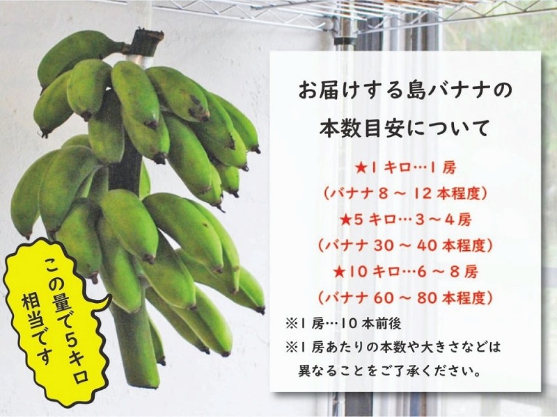 【2023年発送分】奄美 幻の島バナナ(小笠原種)5kg|JALふるさと納税|JALのマイルがたまるふるさと納税サイト