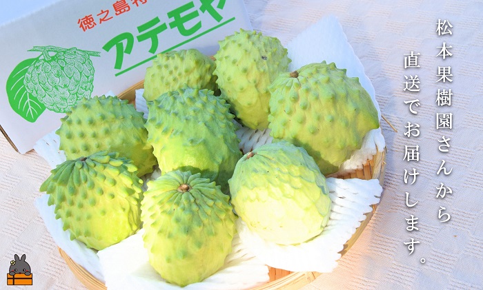 ～驚きの糖度が人気！～徳之島 松本果樹園さんのアテモヤ（約1.5kg）｜JALふるさと納税サイト