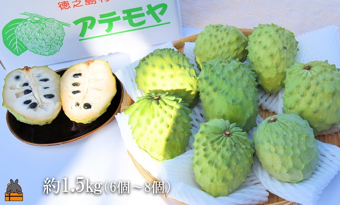 ～驚きの糖度が人気！～徳之島 松本果樹園さんのアテモヤ（約1.5kg）｜JALふるさと納税サイト